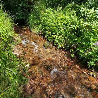 “La historia tiene, por by @liberbrando – Unroll Thread – We unroll ...